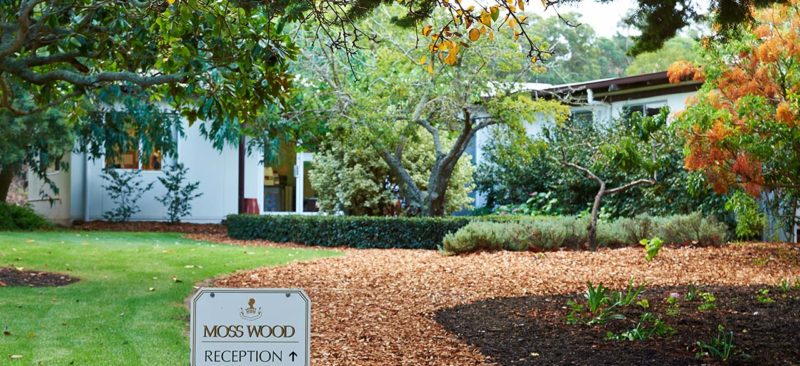 Moss Wood visits - Moss Wood