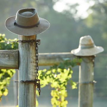 Moss Wood Wines - Margaret River Winery