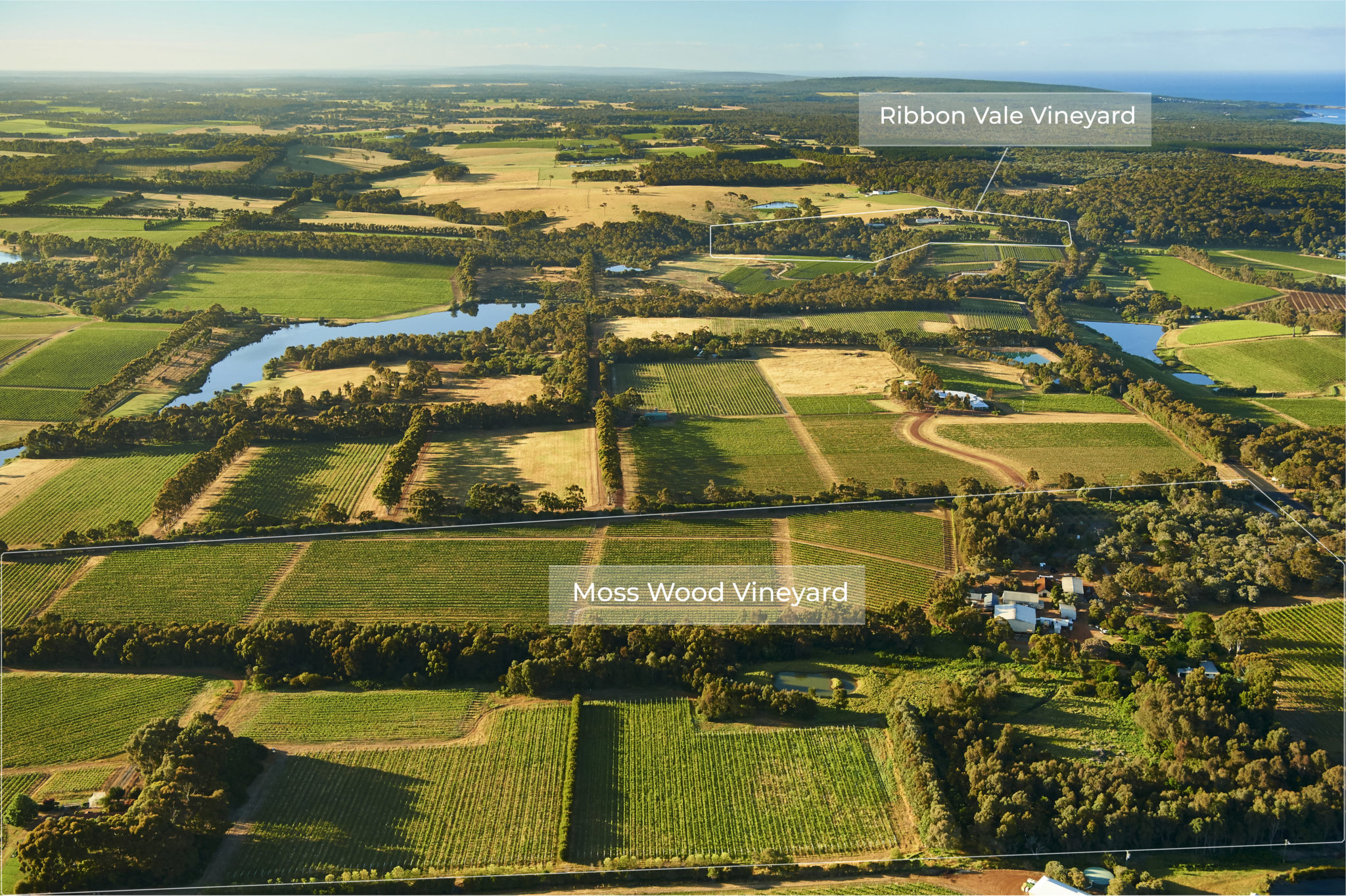 Discover Moss Wood Ribbon Vale Cabernet Sauvignon - Moss Wood