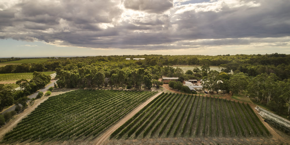 Moss Wood Image Library - Moss Wood